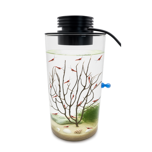 Shrimp Ecosphere - Self Sustainable Ecosystem